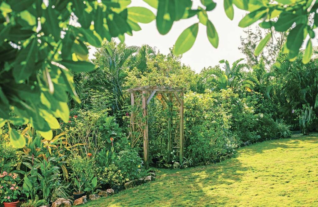 A gardener's garden - InsideOut